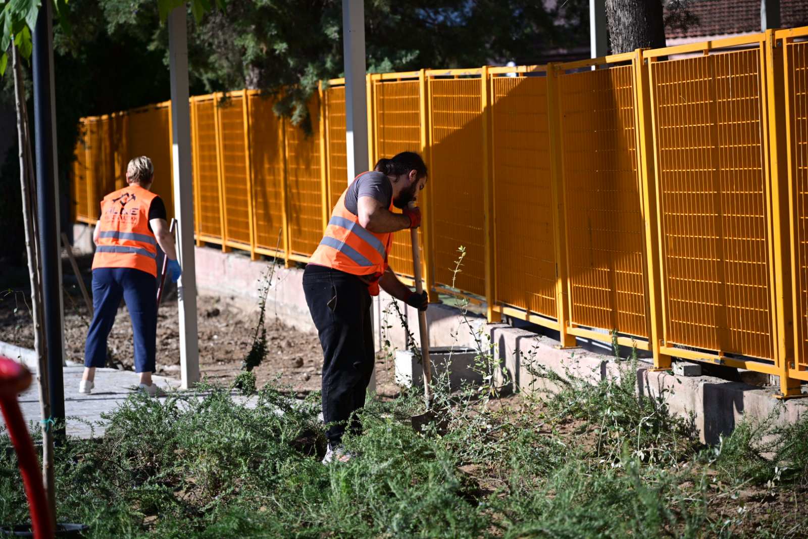 «Ανάσα» πρασίνου στη Λάρισα με δενδροφύτευση στην οδό Θεοφράστου ...