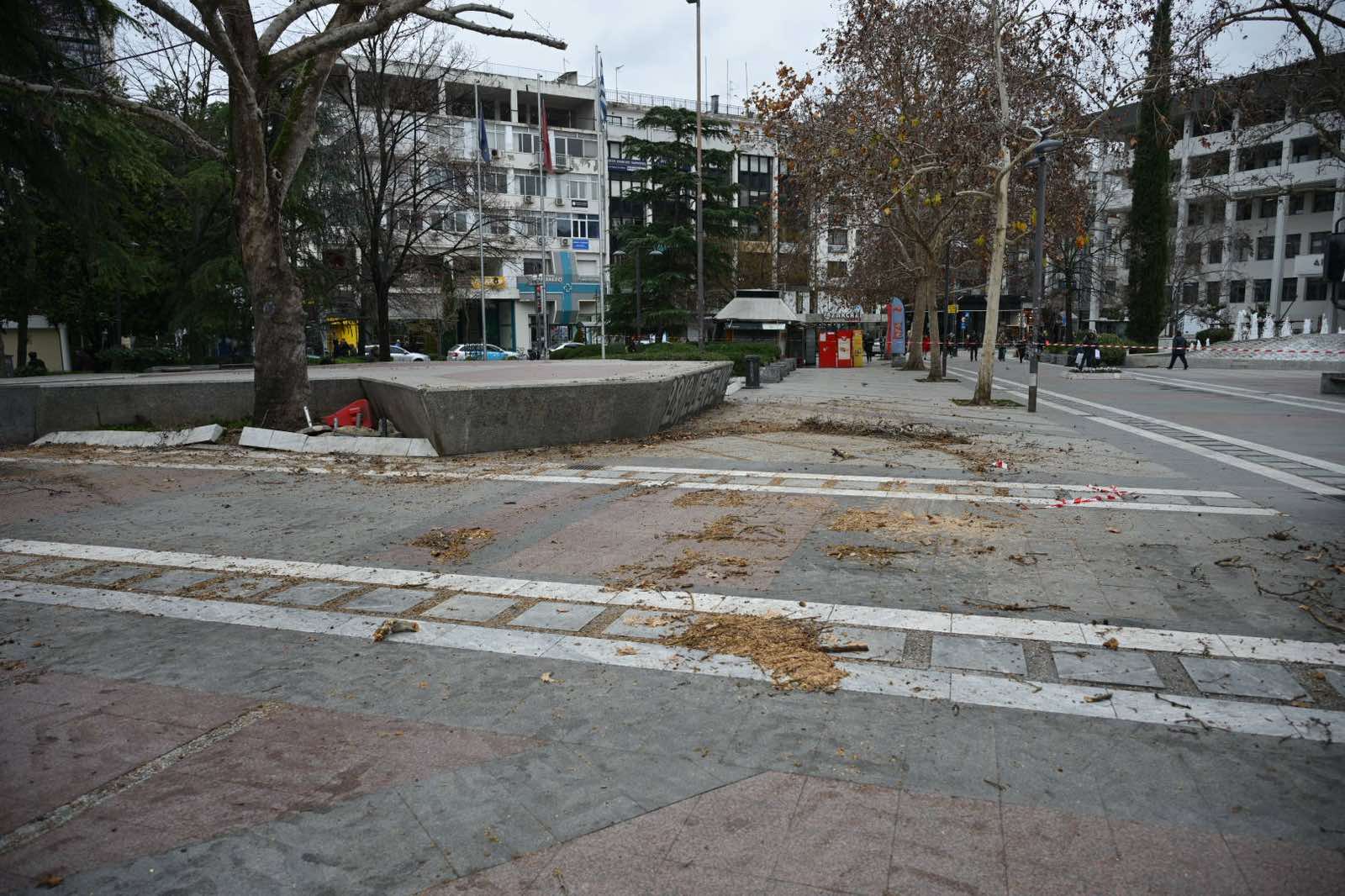 Λάρισα: Εργασίες για τον καλλωπισμό των δέντρων στην Κεντρική Πλατεία ...