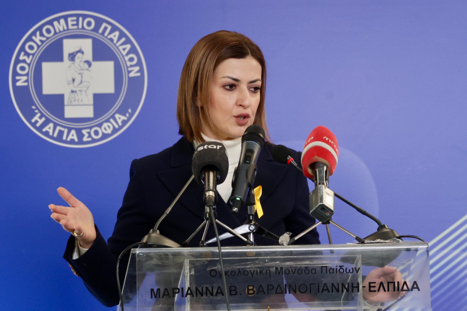 Ειρ. Αγαπηδάκη: Μέχρι το τέλος του 2025 θα έχει ολοκληρωθεί ο Ατομικός ...