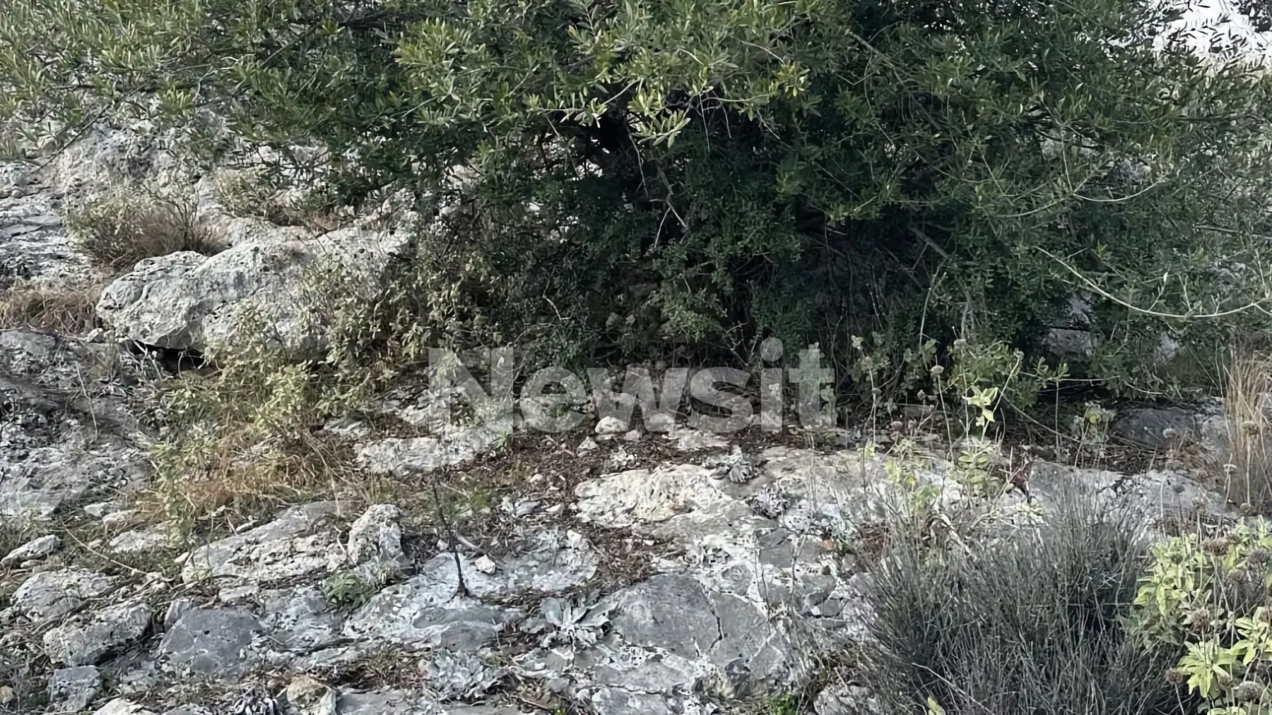 Λάρισα: Εδώ βρέθηκε η σορός του 39χρονου Βασίλη - Το δύσκολα προσβάσιμο ...