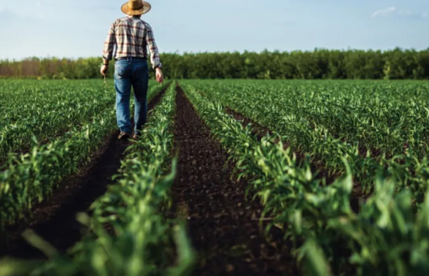 Λάρισα: Δύο ημερίδες του ΕΛΓΟ «Δήμητρα» στην έκθεση «Agrothessaly 2025» – ONLARISSA.GR Νέα ...