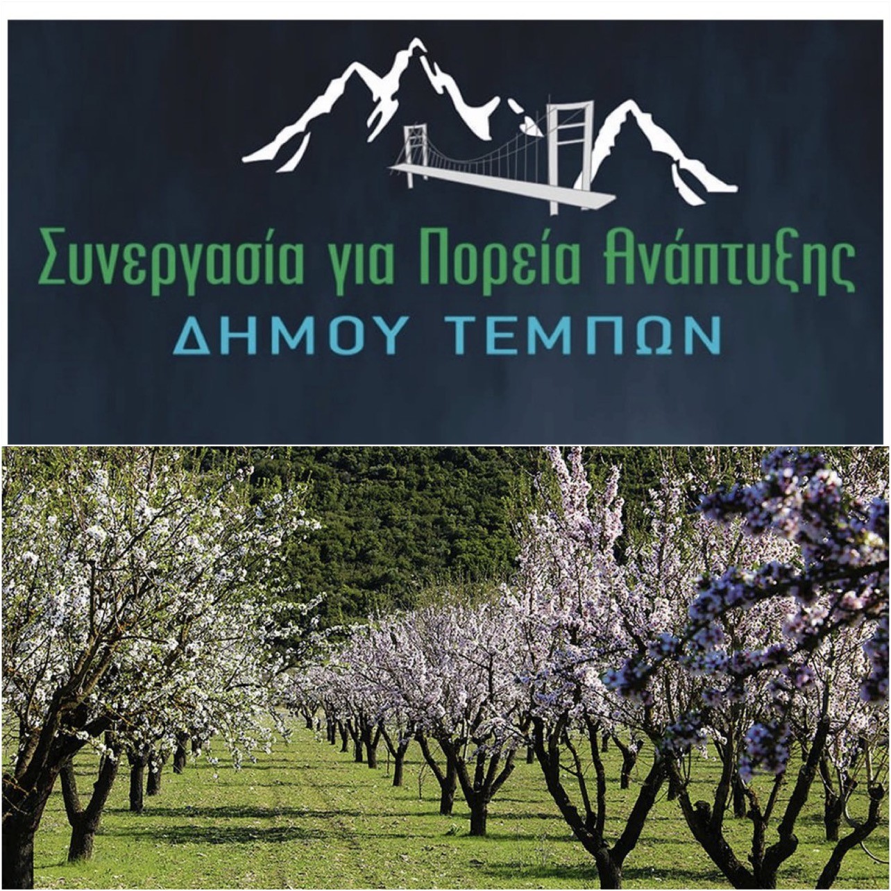 Συνεργασία για Πορεία Ανάπτυξης Δήμου Τεμπών: «Ο μηχανισμός καταγραφής ...