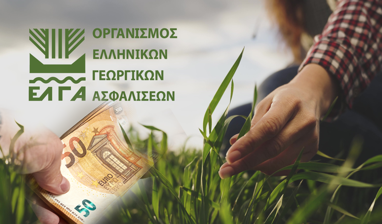 ΕΛΓΑ: Πληρωμή 55 εκατ. €, για ζημίες φυτικής παραγωγής και απώλειες ...