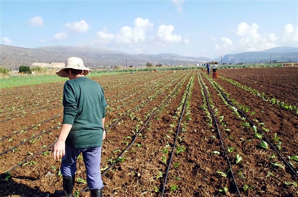 Η Δημοκρατική Κίνηση Γεωπόνων μεγάλη νικήτρια στις εκλογές του ...