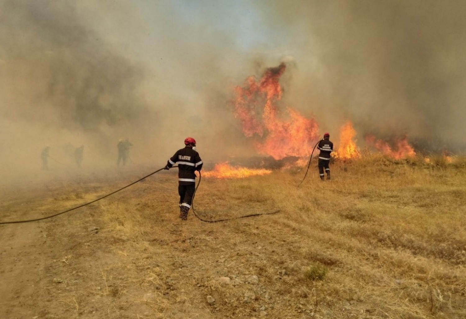 ΠΕ Λάρισας: Κατηγορία Κινδύνου 3 (υψηλή) για πυρκαγιές για σήμερα ...