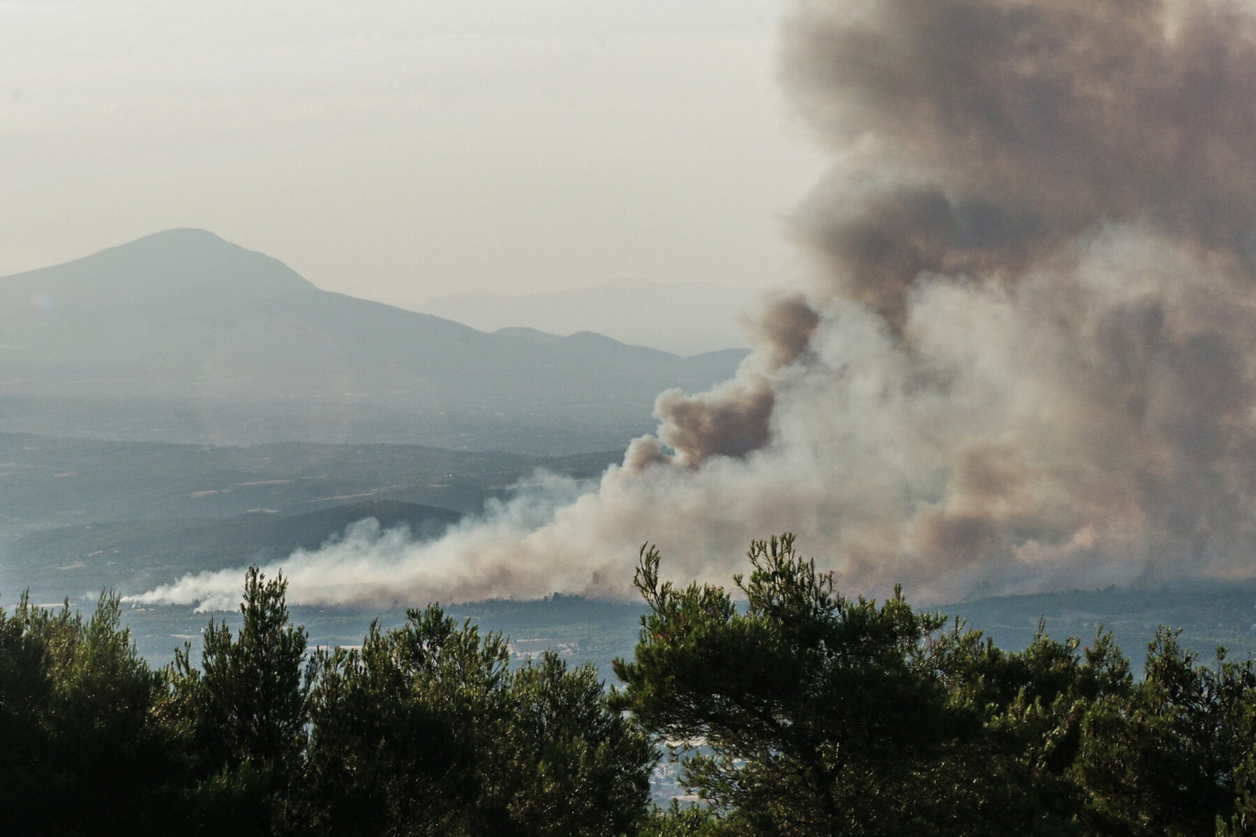 Μαγνησία: Μεγάλη φωτιά στην Κερασιά – «Συναγερμός» στην Πυροσβεστική ...