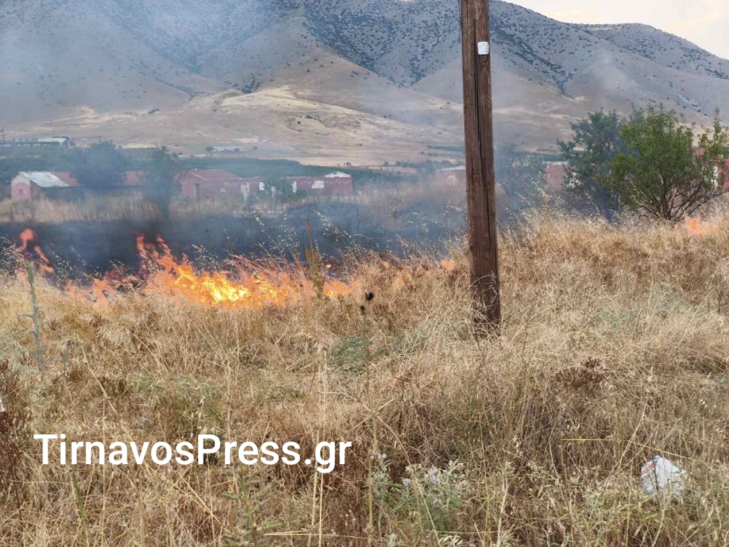 Μεγάλη φωτιά κοντά σε σπίτια στον Τύρναβο – Στο «πόδι» η Πυροσβεστική ...