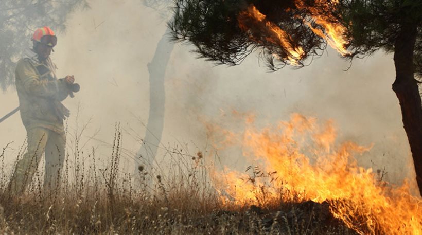 Πολύ υψηλός κίνδυνος πυρκαγιάς για την Πέμπτη 7/8 – Δείτε σε ποιες ...