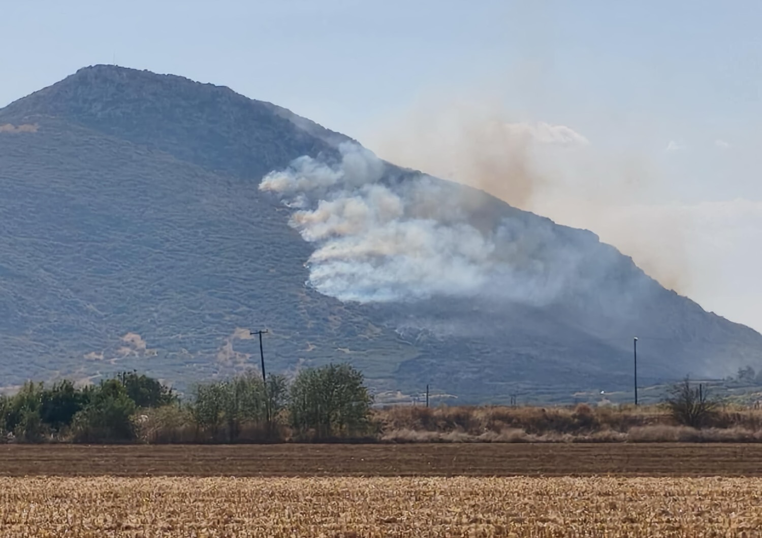 Φάρσαλα: Εναέρια μέσα και πυροσβεστική επιχειρούν στο όρος Σούρλα δίπλα ...