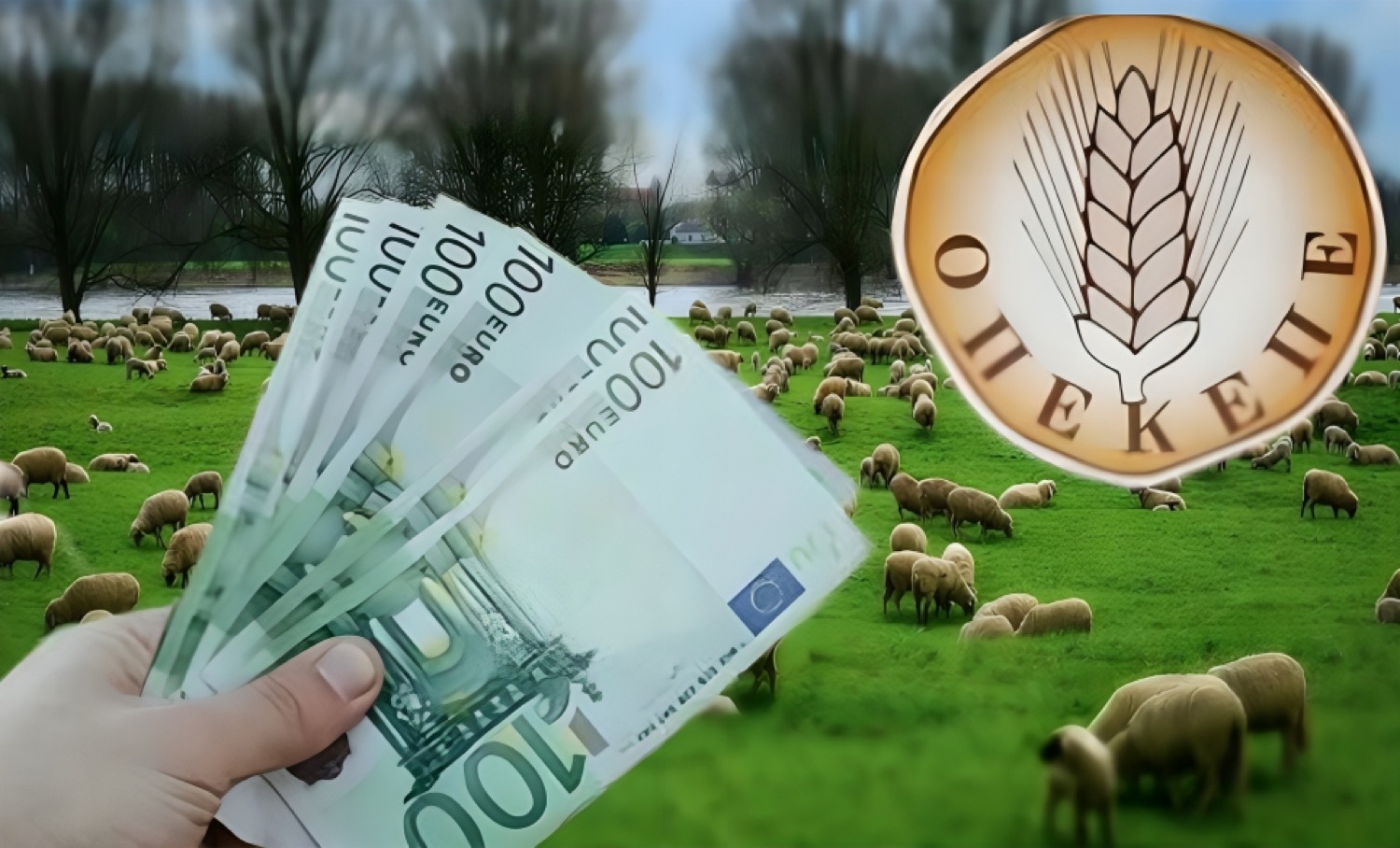 Άρχισαν οι πληρωμές στους αγρότες από τον ΟΠΕΚΕΠΕ: Σήμερα καταβάλλονται ...