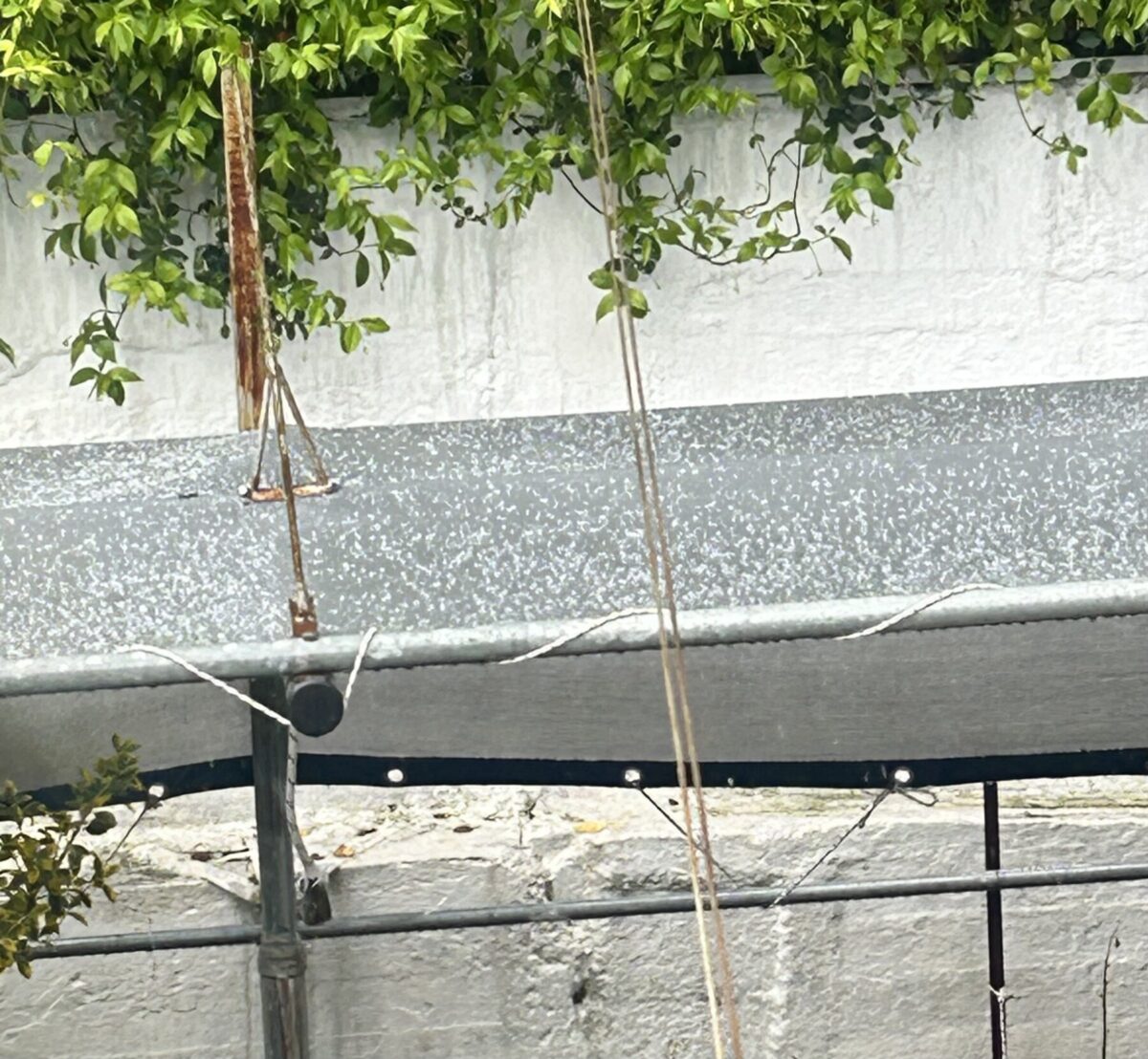 Ολιγόλεπτη χαλαζόπτωση στα Φάρσαλα - ONLARISSA.GR Νέα Ειδήσεις Λάρισα