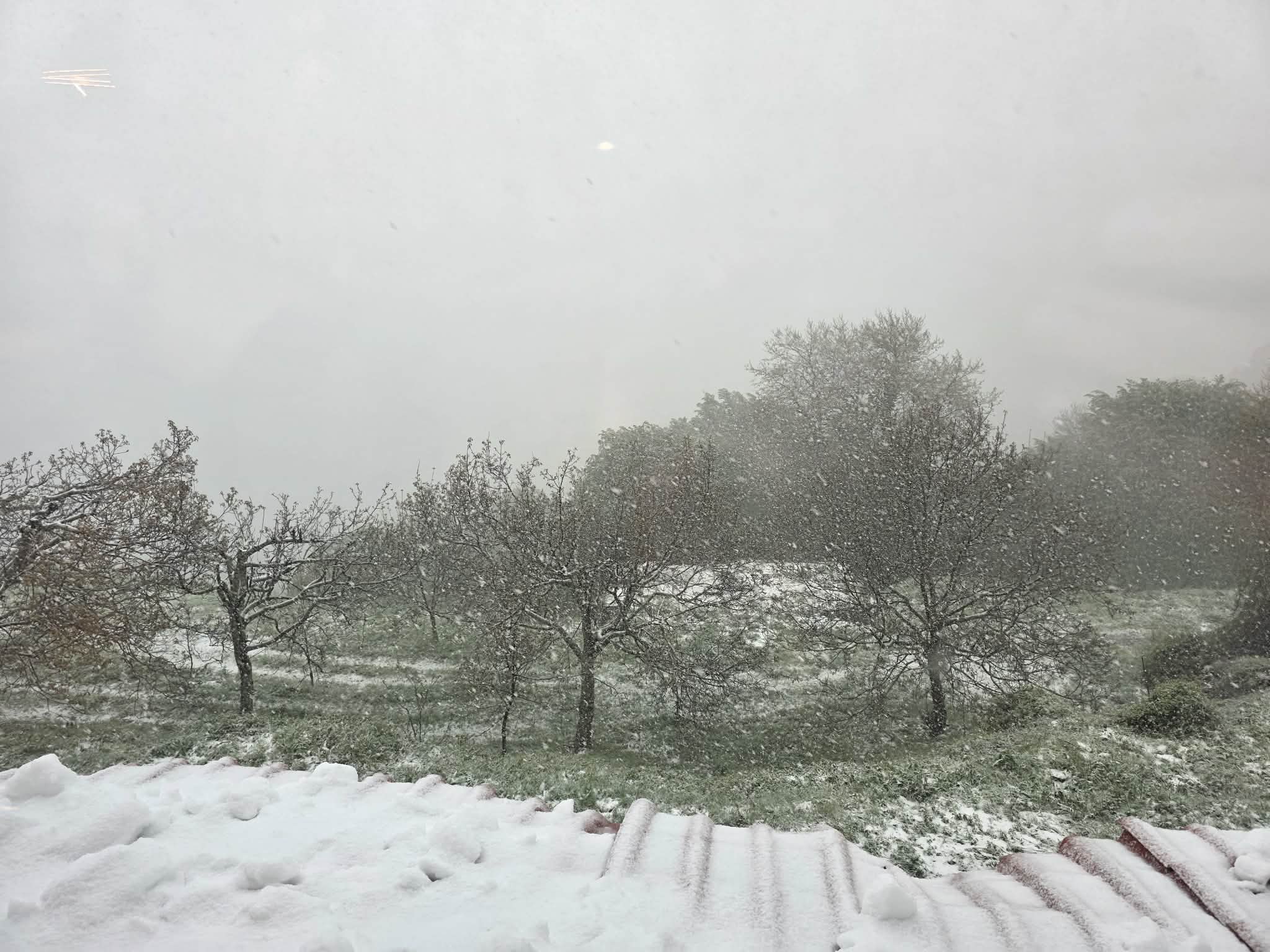 Πυκνή χιονόπτωση στα Χάνια Πηλίου - ONLARISSA.GR Νέα Ειδήσεις Λάρισα